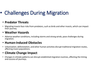 Insect Migration and displacement .pptx