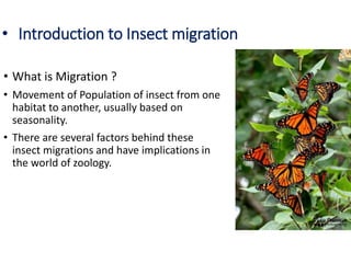 Insect Migration and displacement .pptx | Birdwatching | Hobbies ...