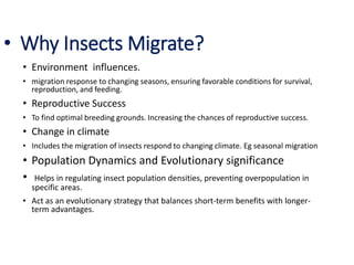 Insect Migration and displacement .pptx | Birdwatching | Hobbies ...