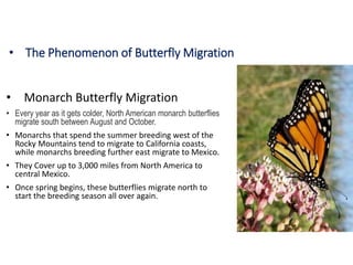Insect Migration and displacement .pptx