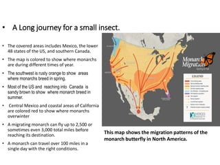 Insect Migration and displacement .pptx | Birdwatching | Hobbies ...