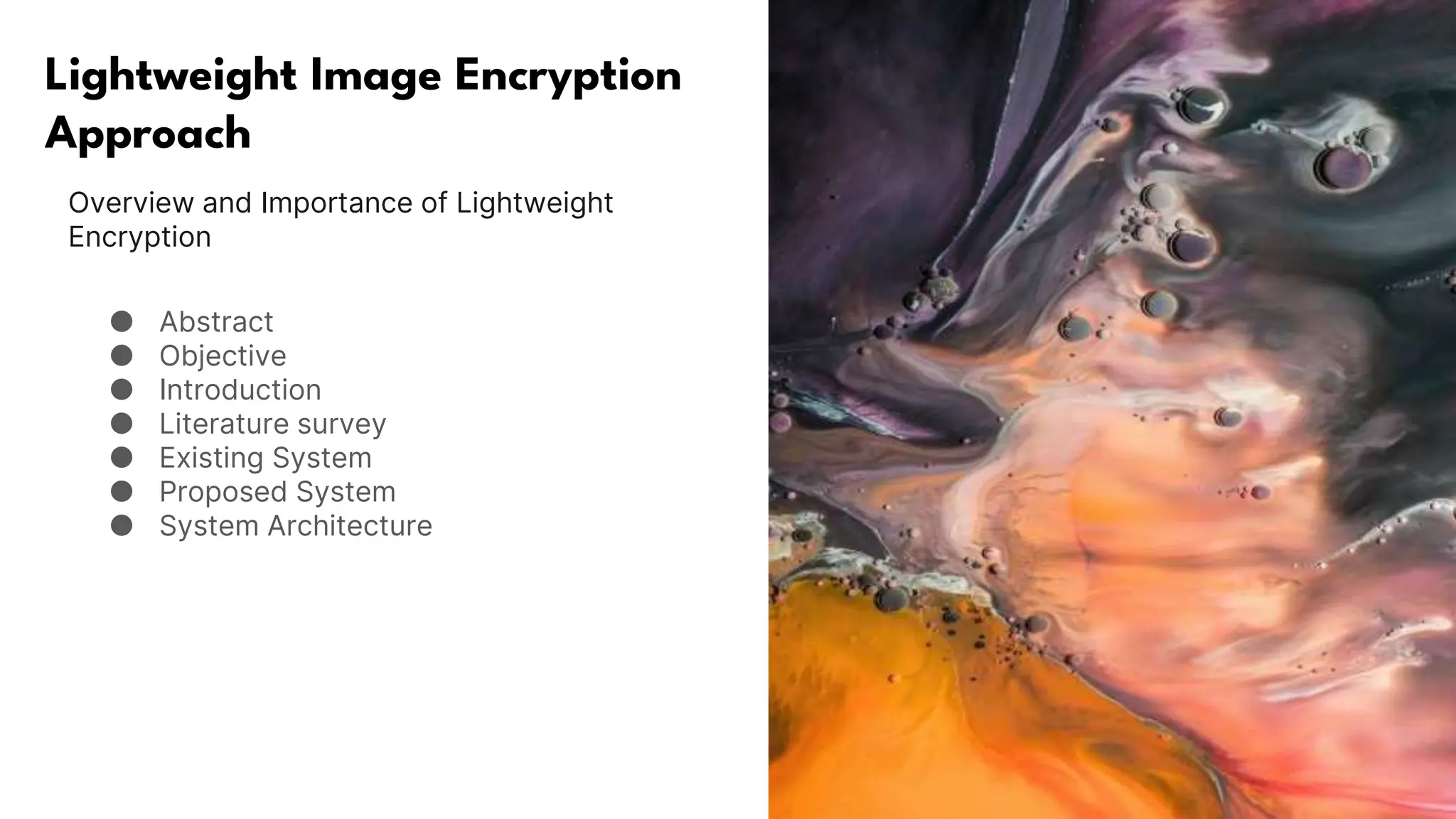 A Major Project Presentation on Lightweight image encryption | PPT