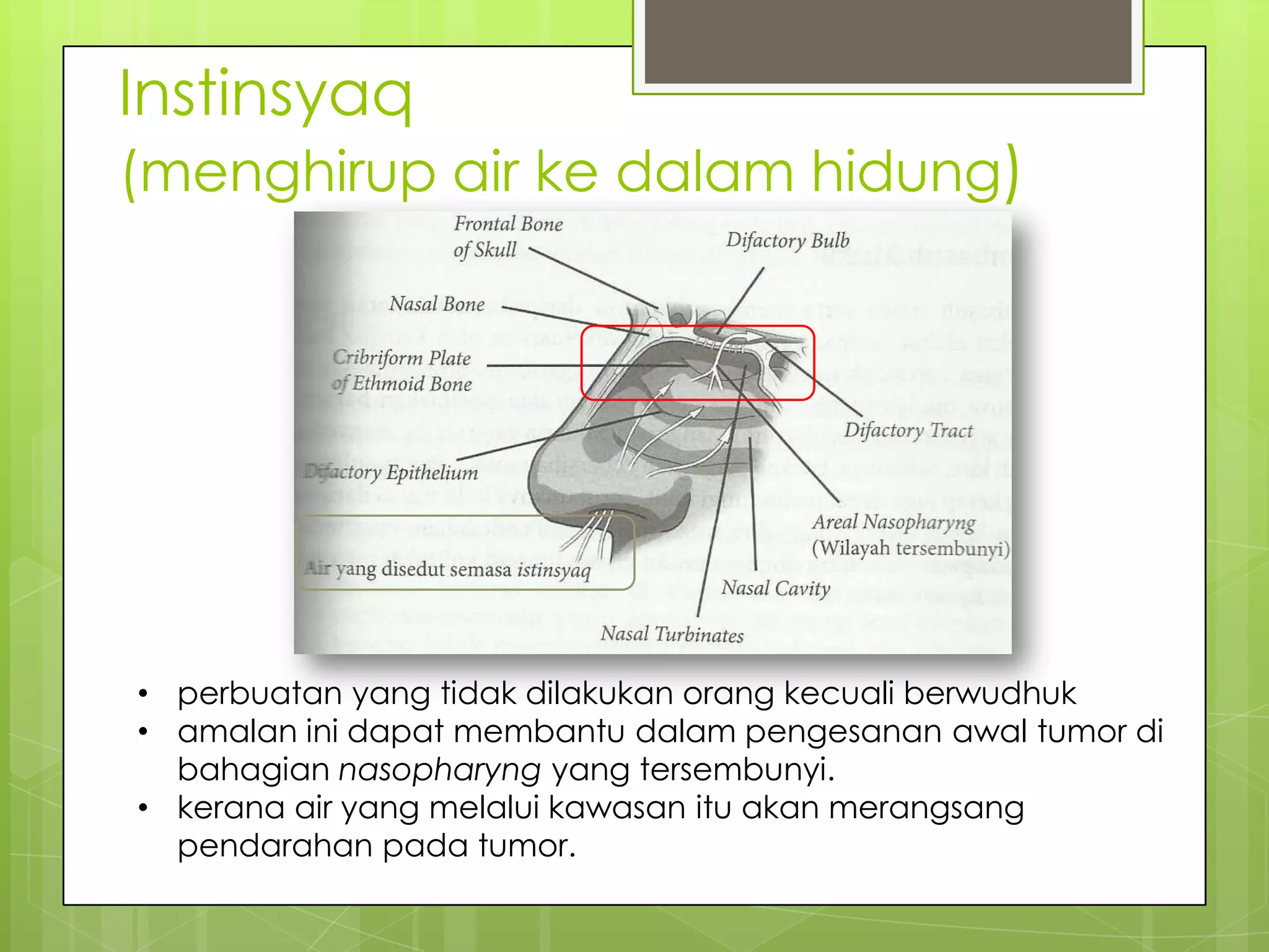Amalan kebersihan dan pemakanan rasulullah | PPT