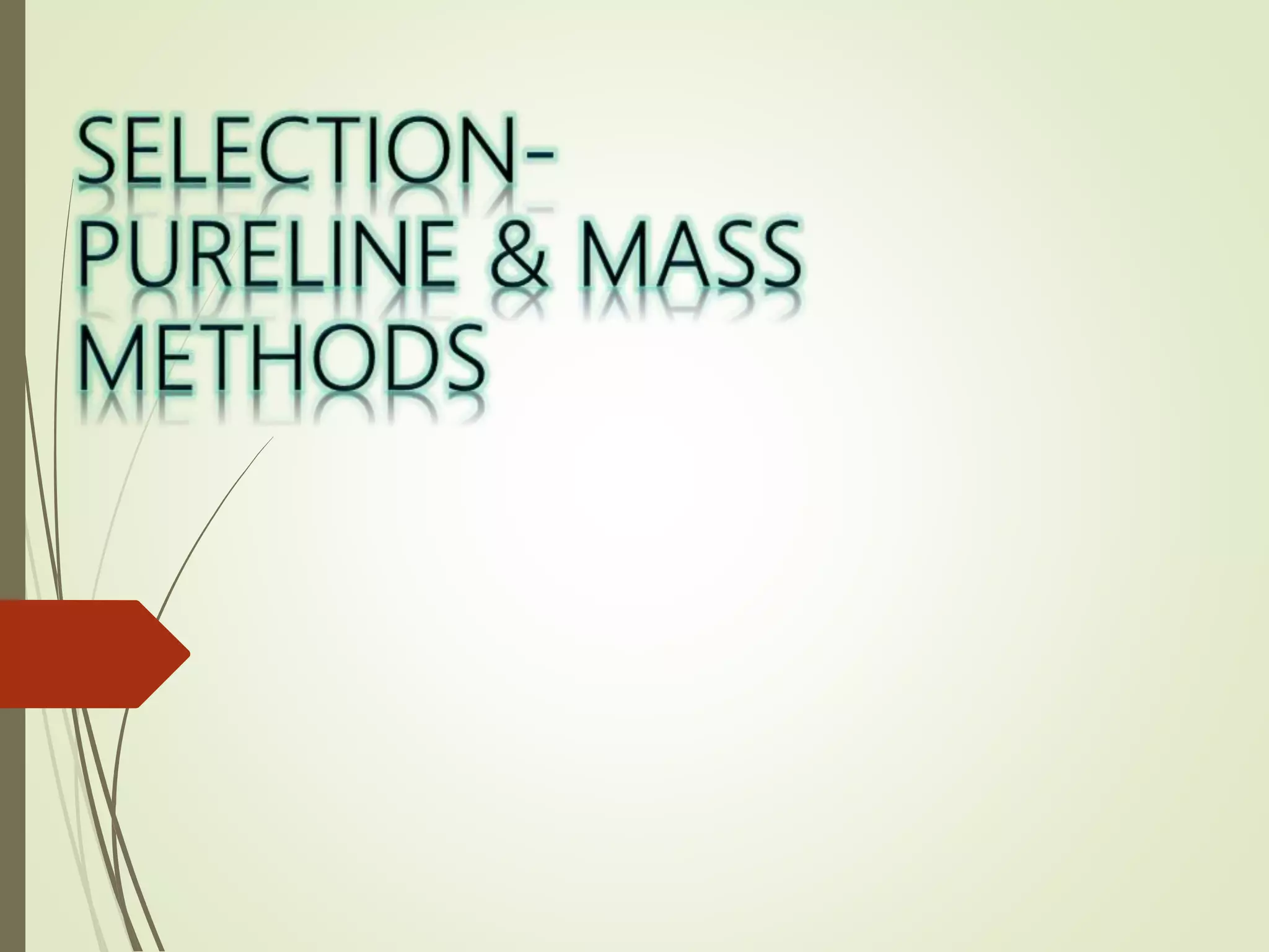 SELECTION- PURELINE & MASS METHODS | PPTX