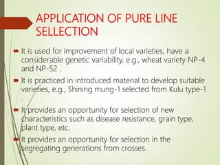 SELECTION- PURELINE & MASS METHODS | PPTX