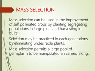 SELECTION- PURELINE & MASS METHODS | PPTX