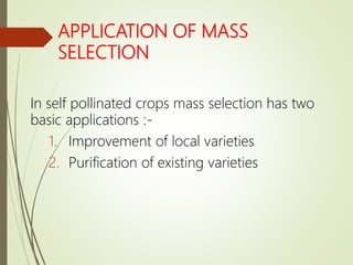 SELECTION- PURELINE & MASS METHODS | PPTX
