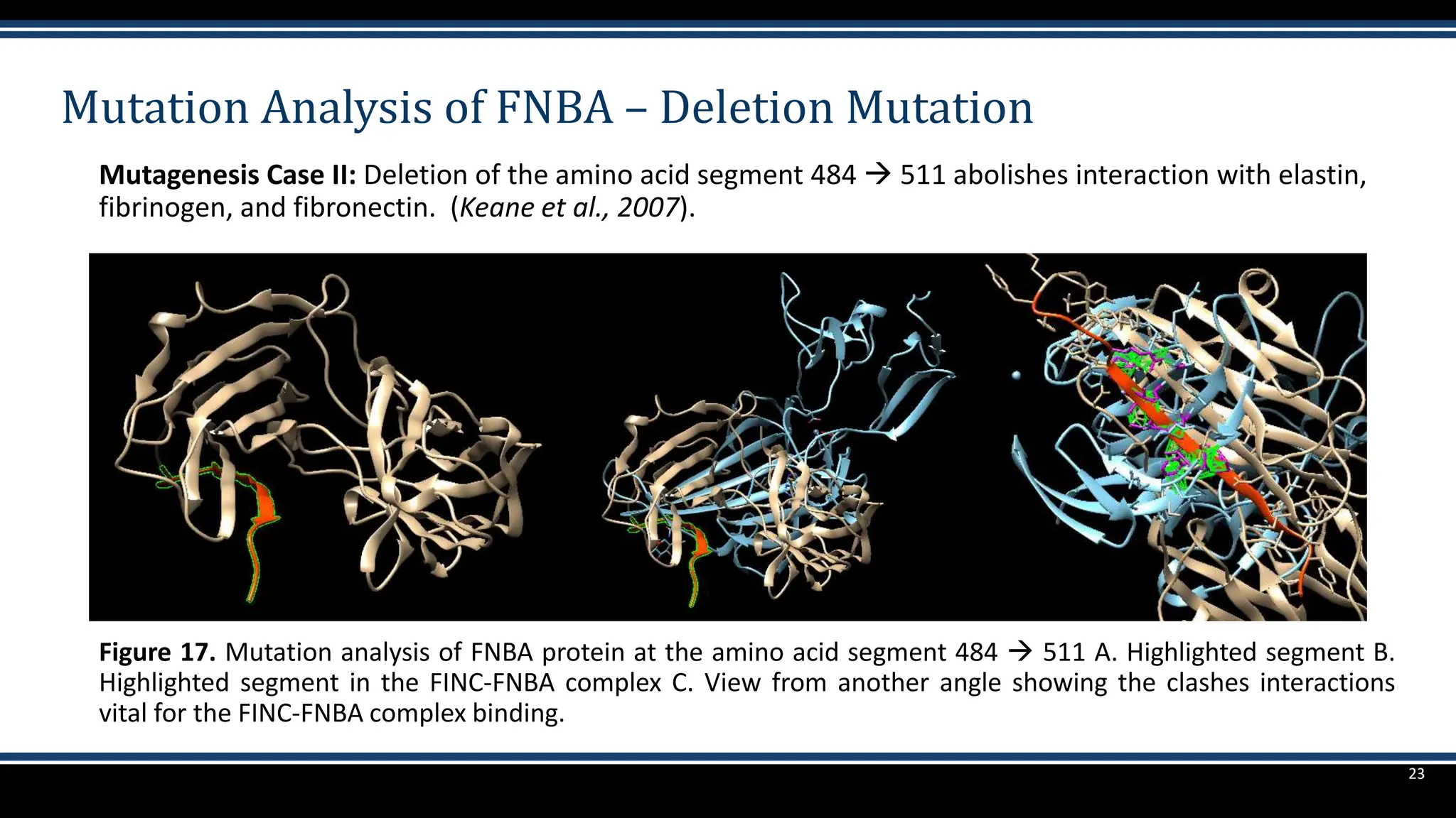 Protein Protein Complex Structural Analysis Of Human Fibronectin And Staphylococcus Aureus