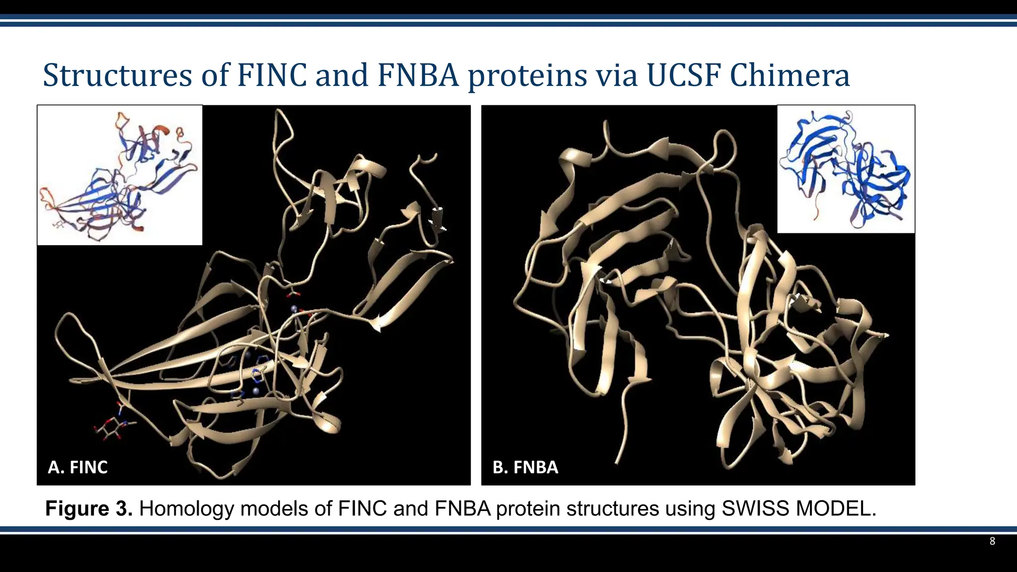 Protein Protein Complex Structural Analysis Of Human Fibronectin And Staphylococcus Aureus