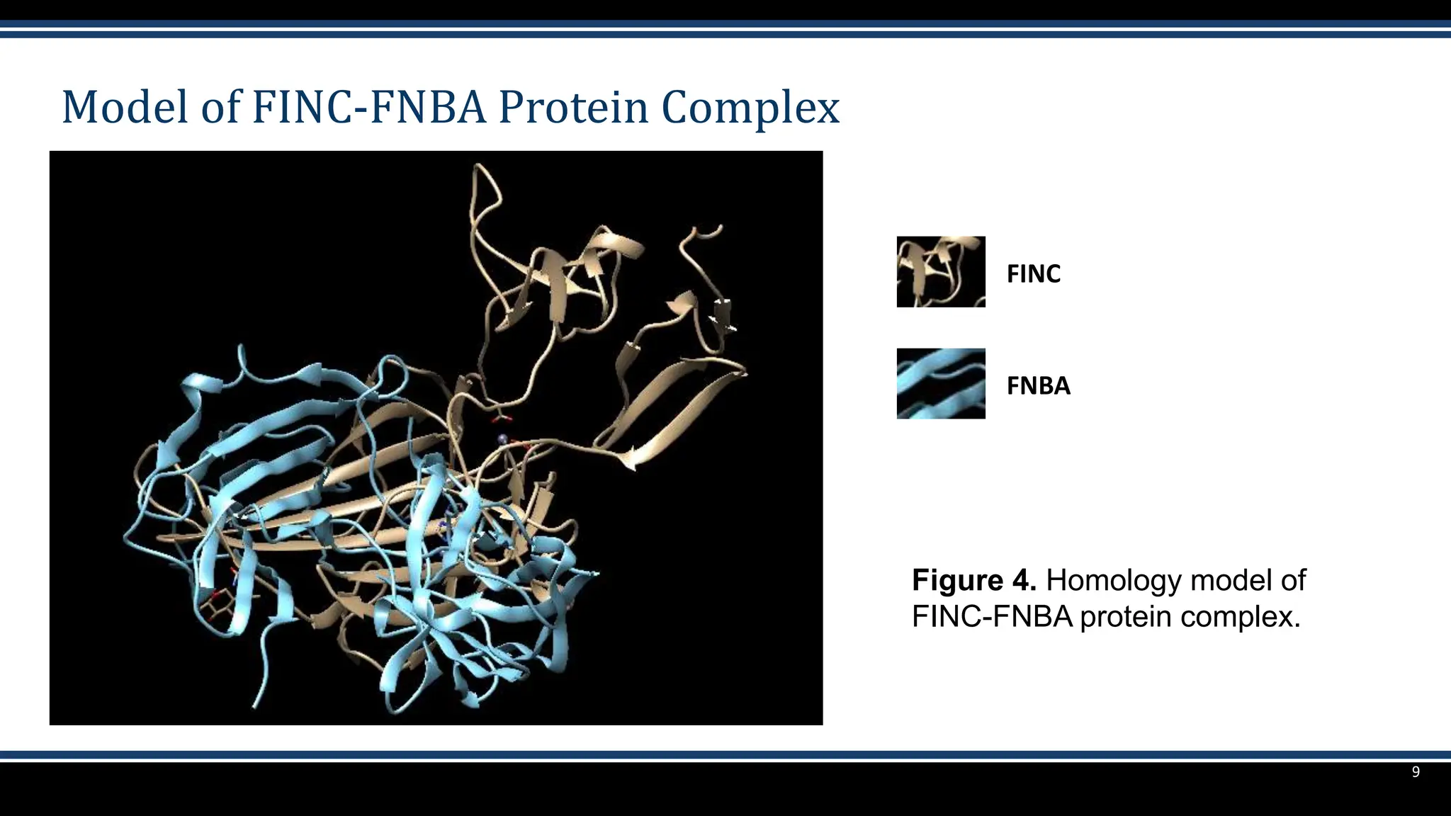 Protein Protein Complex Structural Analysis Of Human Fibronectin And Staphylococcus Aureus