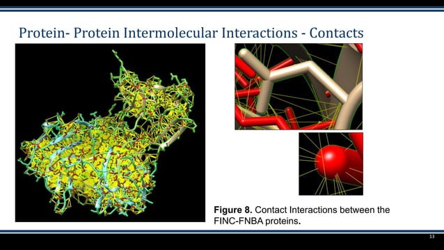 Protein-Protein Complex Structural Analysis of Human Fibronectin and Staphylococcus aureus ...