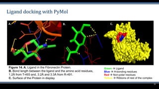 Protein-Protein Complex Structural Analysis of Human Fibronectin and ...