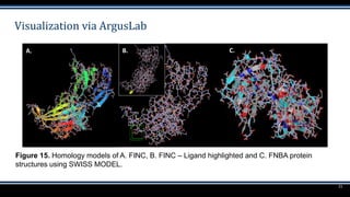 Protein-Protein Complex Structural Analysis of Human Fibronectin and ...