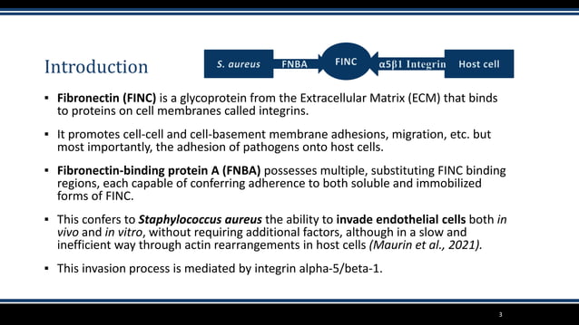 Protein-Protein Complex Structural Analysis of Human Fibronectin and Staphylococcus aureus ...