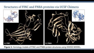 Protein-Protein Complex Structural Analysis of Human Fibronectin and ...