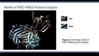 Protein-Protein Complex Structural Analysis of Human Fibronectin and ...