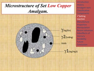 Amalgam past,present& future-I | PPTX