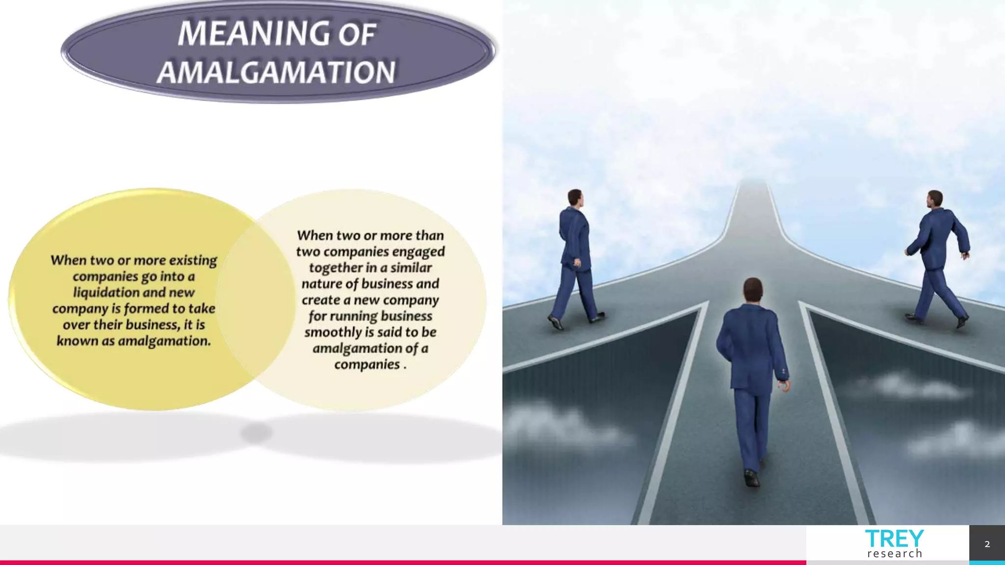 Amalgamation | PPTX | Mergers and Acquisitions | Business Banking & Finance