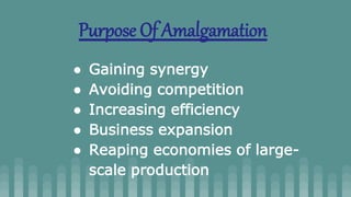 Amalgamation of company | PPTX