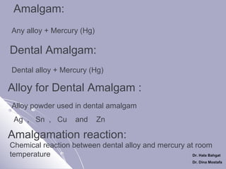 Amalgum I | PPT