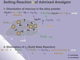 Amalgum I | PPT