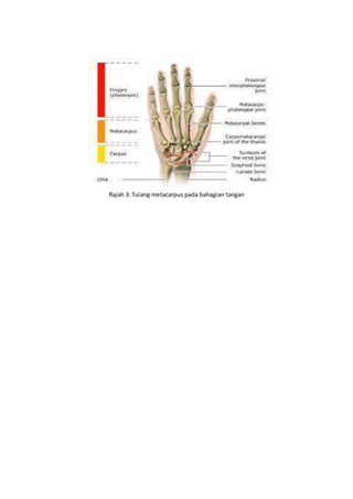 Amali 2 pjms3043 | DOCX