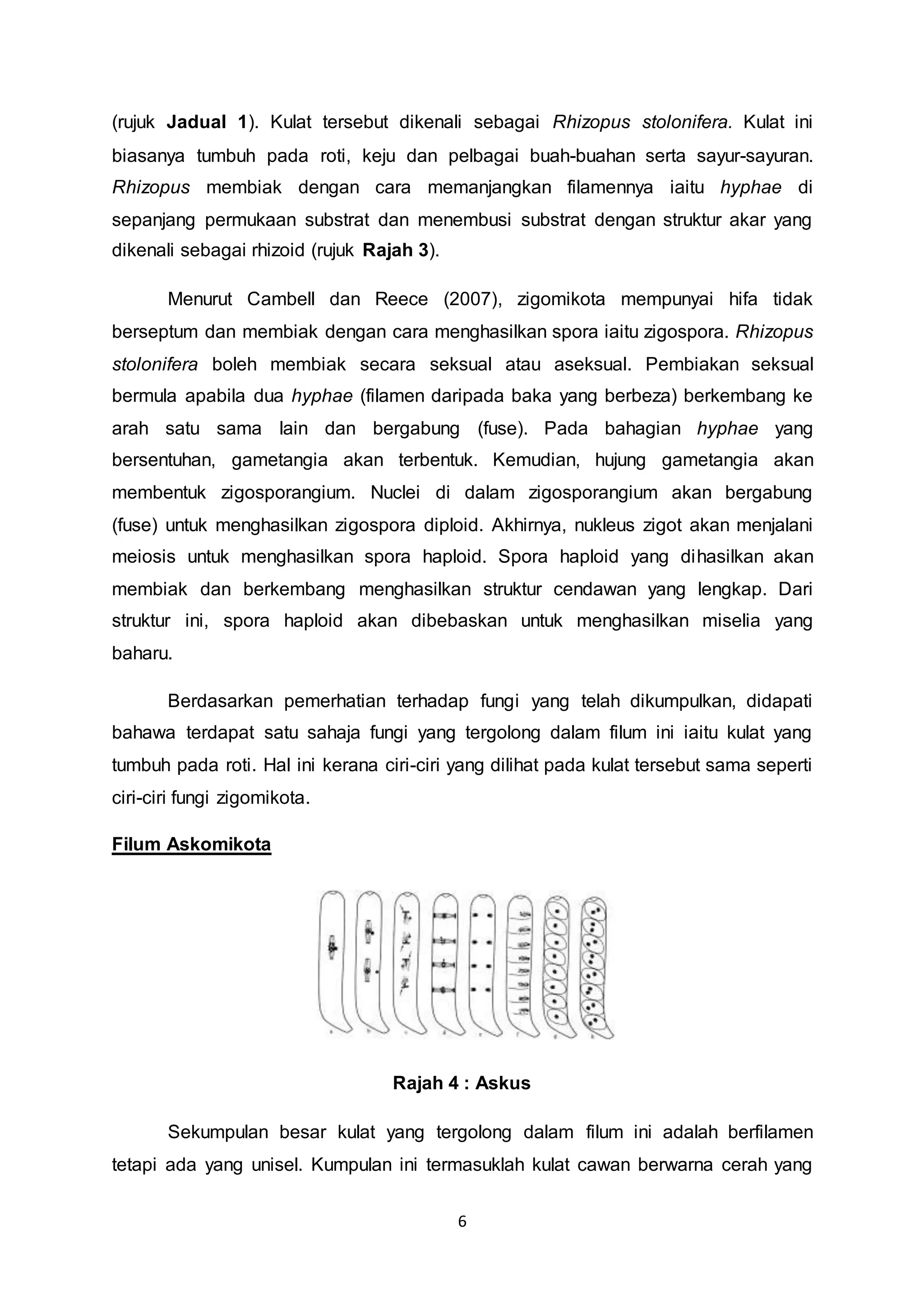 Amali 3 fungi | DOCX