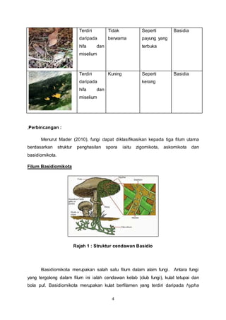 Amali 3 fungi | DOCX
