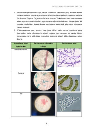 Memeriksa slaid untuk mengenalpasti struktur dan bentuk bakteria, fungi ...