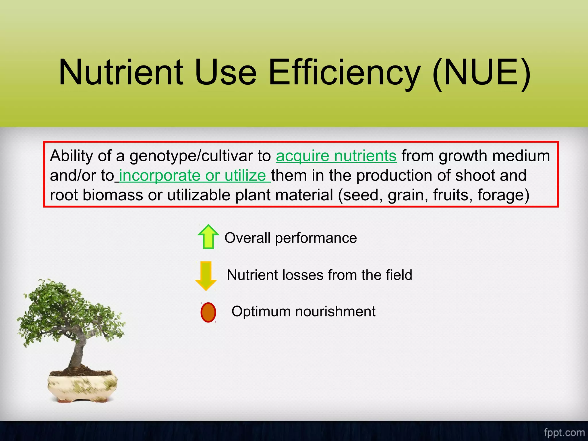 Nutrient Use Efficiency: Molecular Mechanism and Advances | PPT