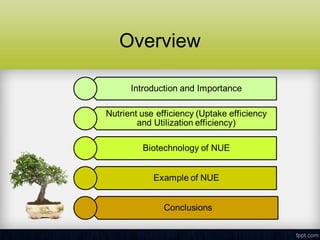 Nutrient Use Efficiency: Molecular Mechanism and Advances | PPT