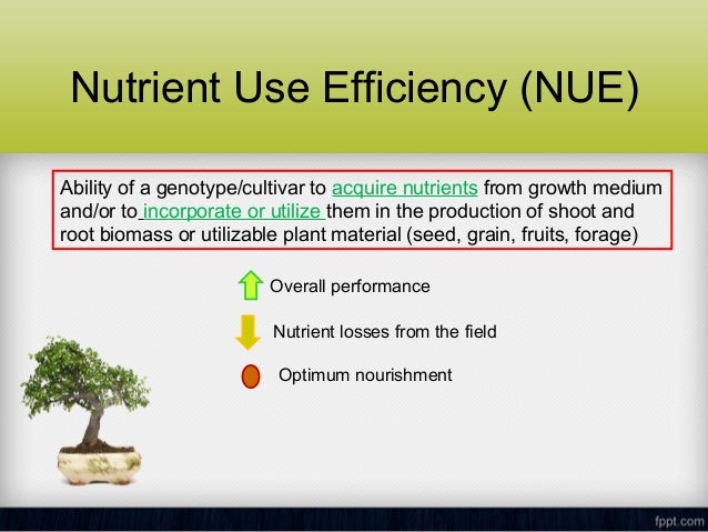 Nutrient Use Efficiency: Molecular Mechanism and Advances