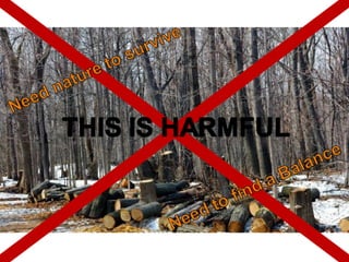 Valuing Nature | PPT