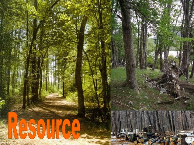 Valuing Nature | PPT