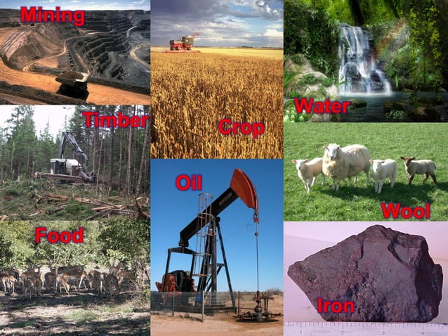 Valuing Nature | PPT