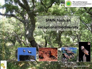 Ecotourism in Spain: Sustainability, cooperation and innovation | PPT