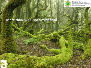 Ecotourism in Spain: Sustainability, cooperation and innovation | PPTX