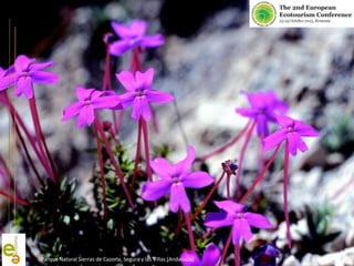 Ecotourism in Spain: Sustainability, cooperation and innovation | PPT