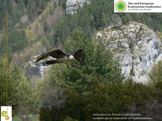 Ecotourism in Spain: Sustainability, cooperation and innovation | PPTX