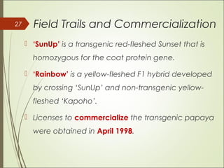 Genetic Engineering of Papaya for Ring Spot Virus | PPT
