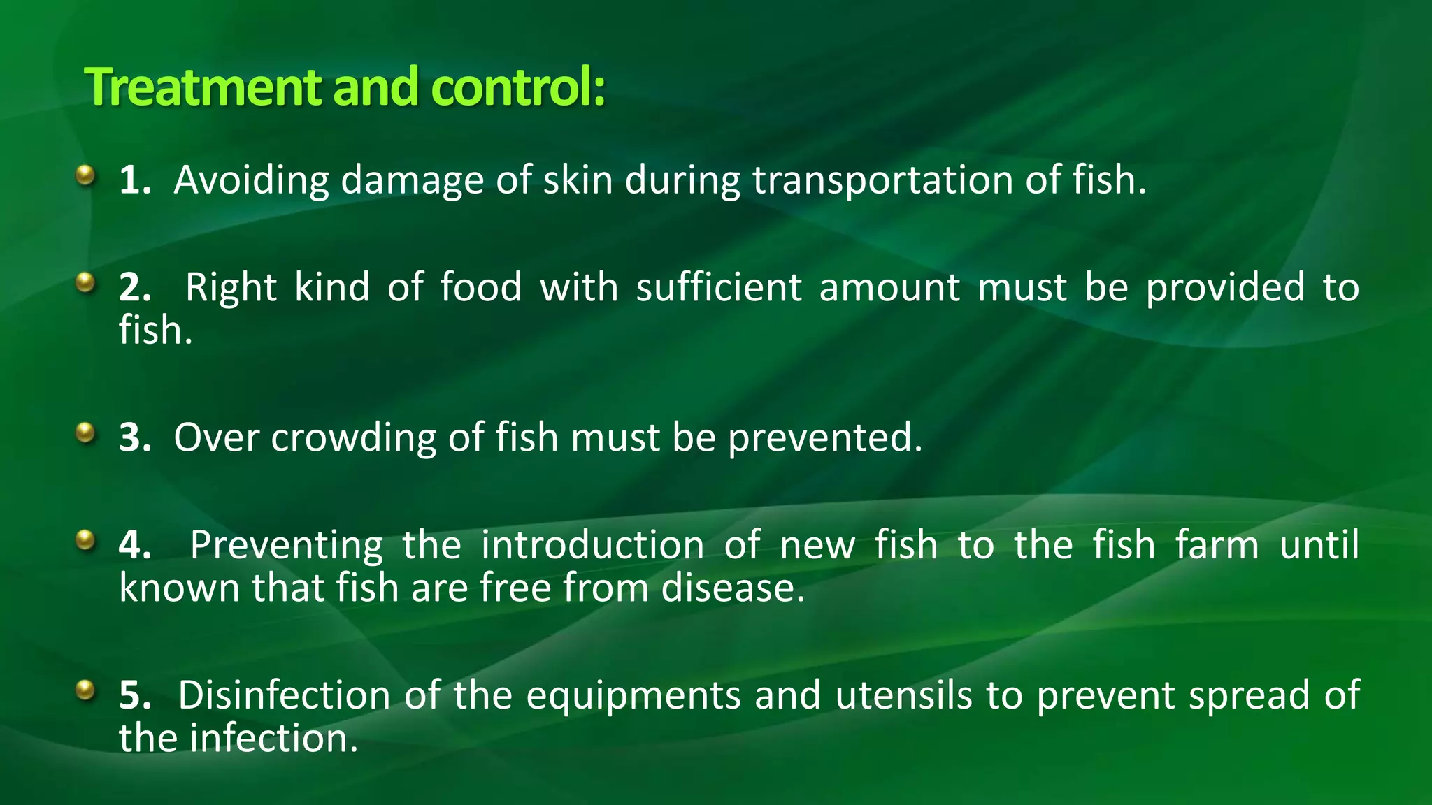 fungal disease in fishes | PPTX