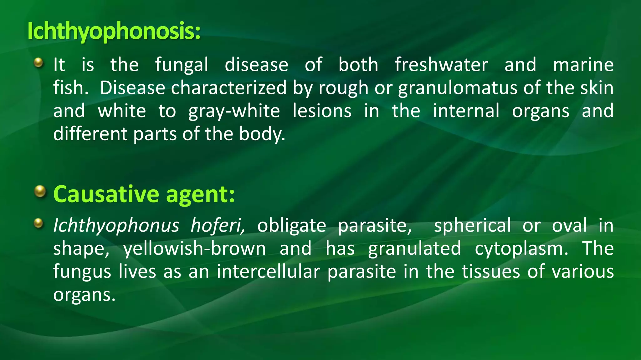 fungal disease in fishes | PPTX
