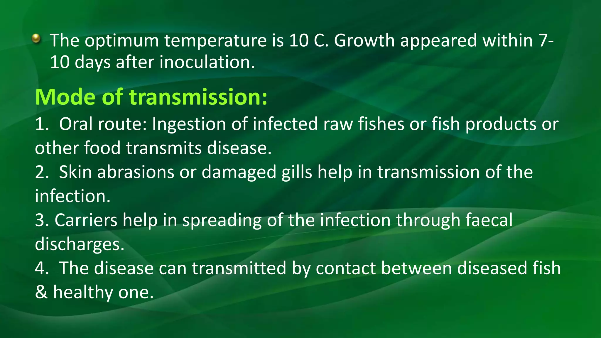 fungal disease in fishes | PPTX