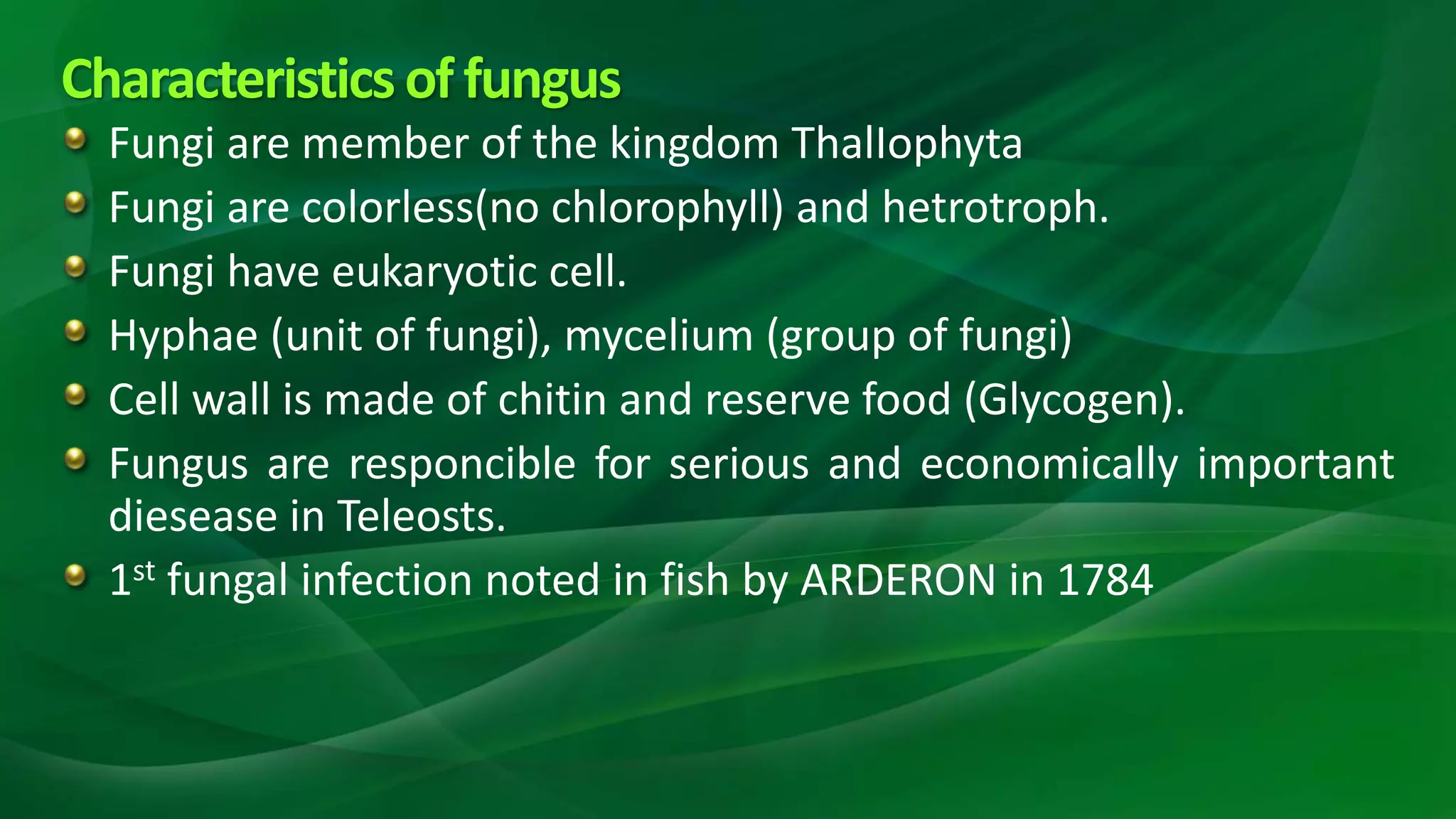 fungal disease in fishes | PPTX