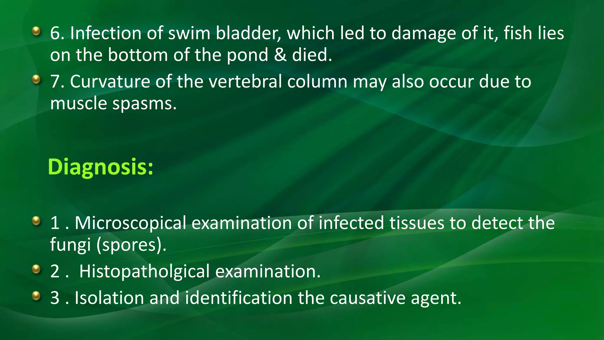 fungal disease in fishes | PPTX
