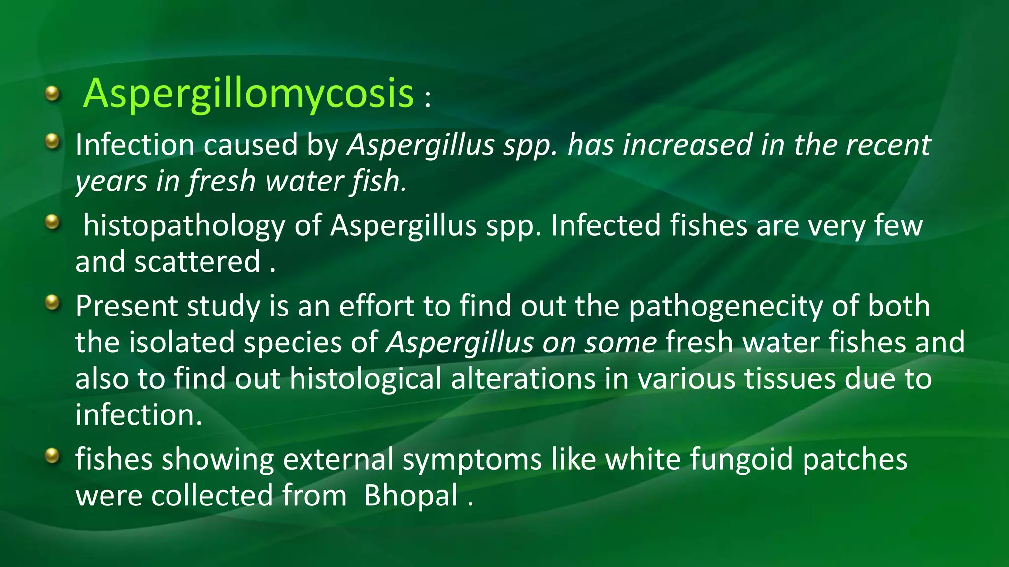 fungal disease in fishes | PPTX