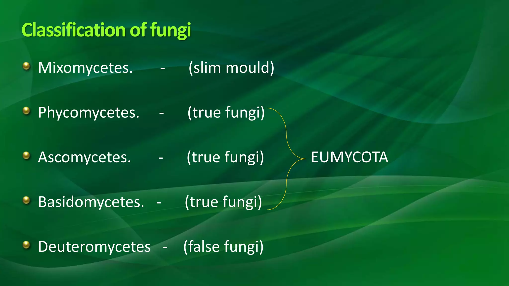 fungal disease in fishes | PPTX