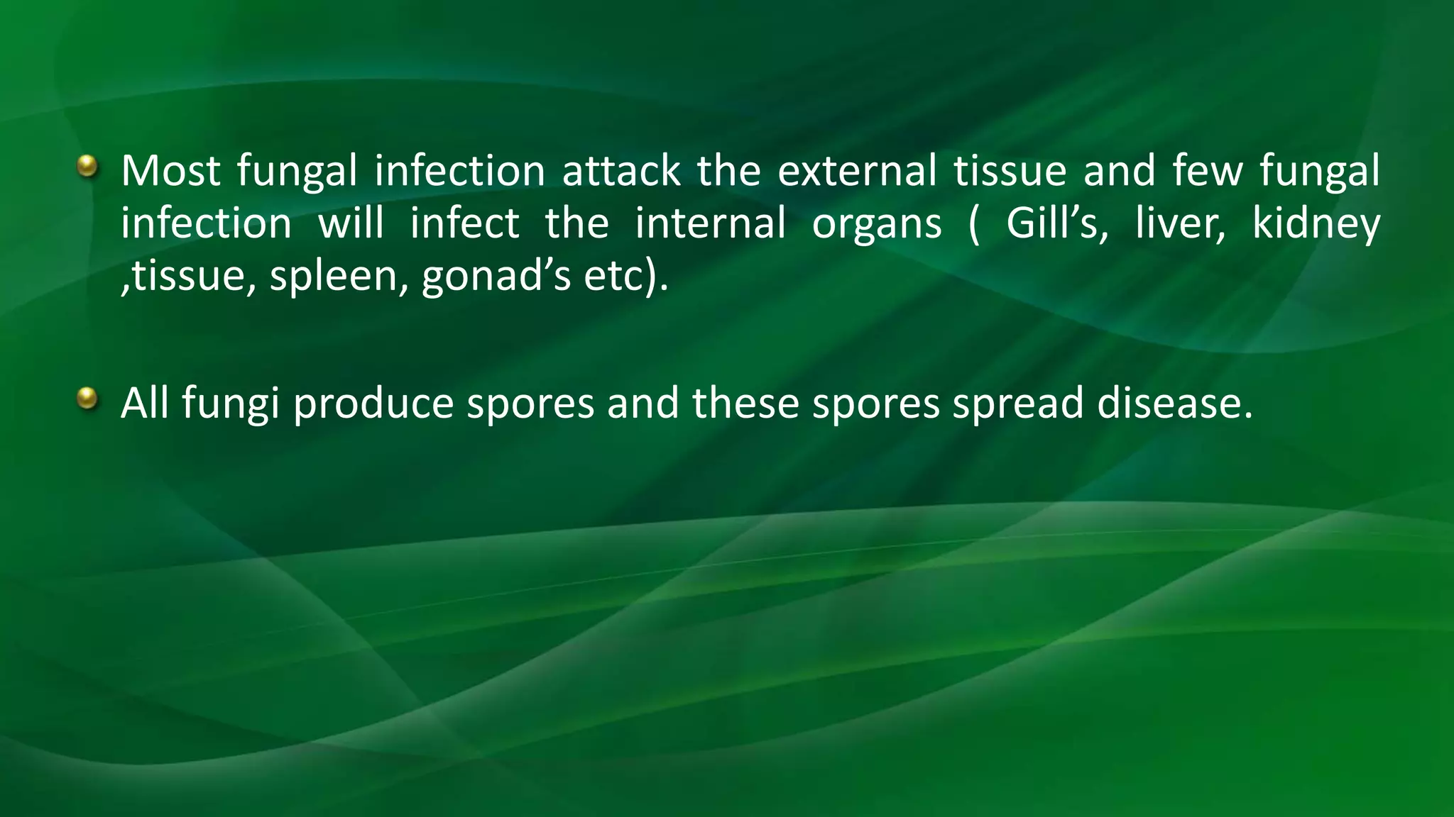 fungal disease in fishes | PPTX
