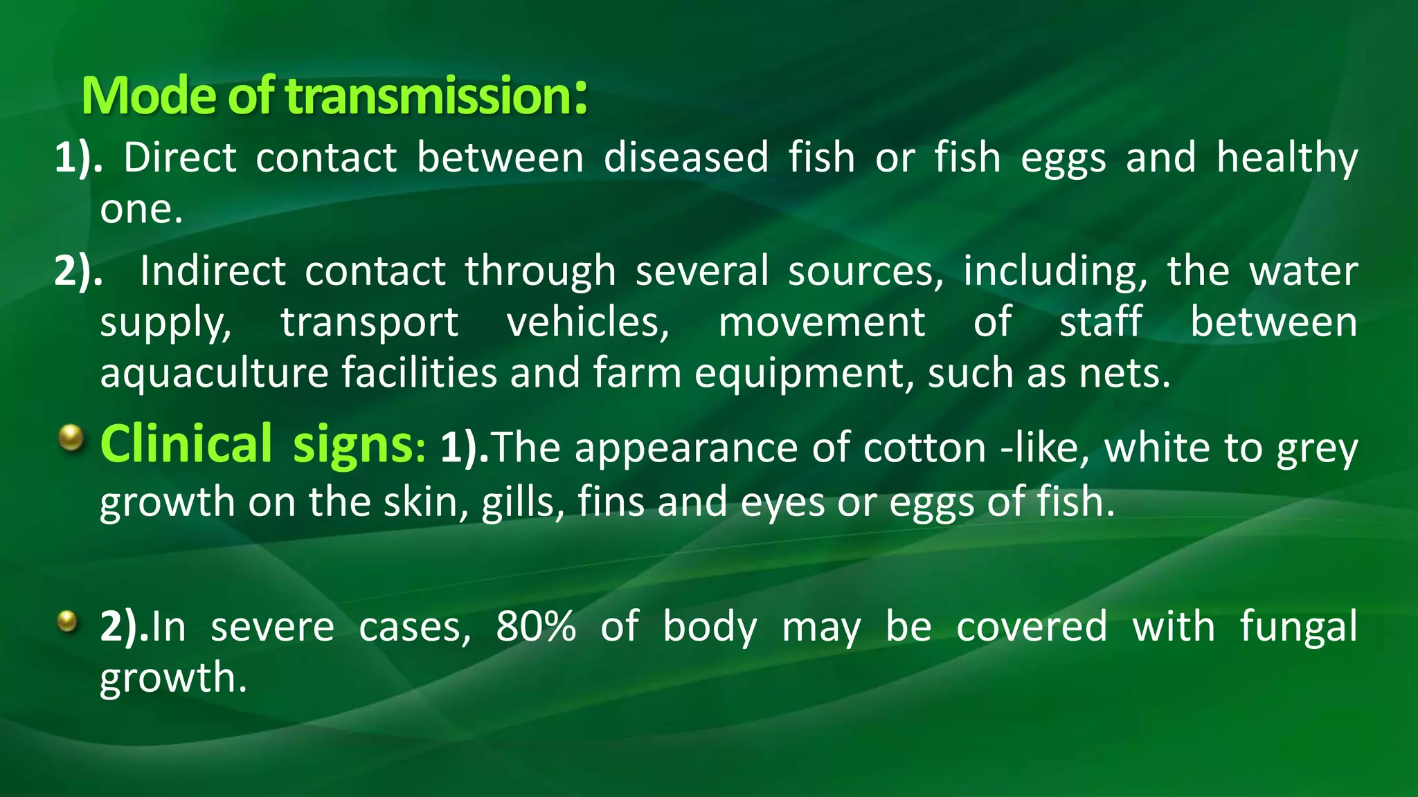 fungal disease in fishes | PPTX