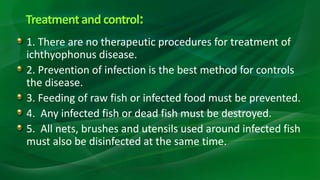 fungal disease in fishes | PPTX